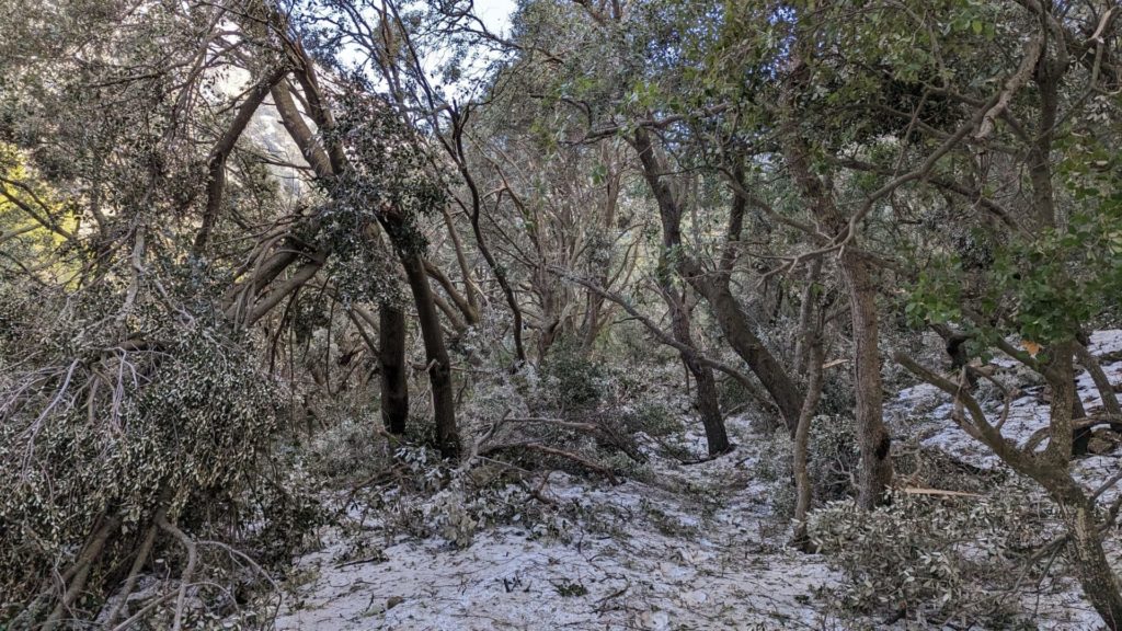 Toda la Serra de Tramuntana, seriamente afectada por la borrasca ...