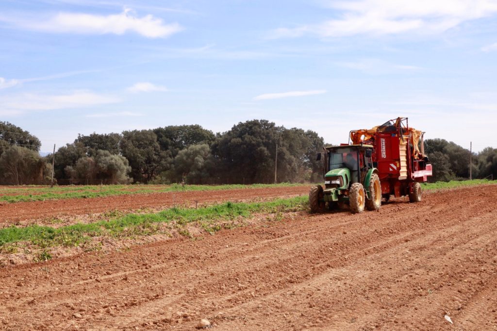 Agricultura abona más de 550.000 euros en ayudas 'Juliette' para el ...